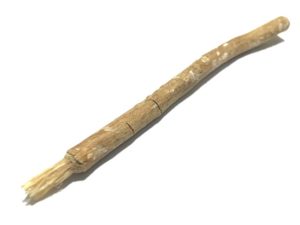 The Miswak: Brushing With God’s Toothbrush | Trinity Phix